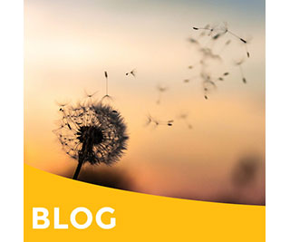 Verbonden ademen – Daphne Smit & Erica Rijnsburger - De Ruimte | Madal Bal